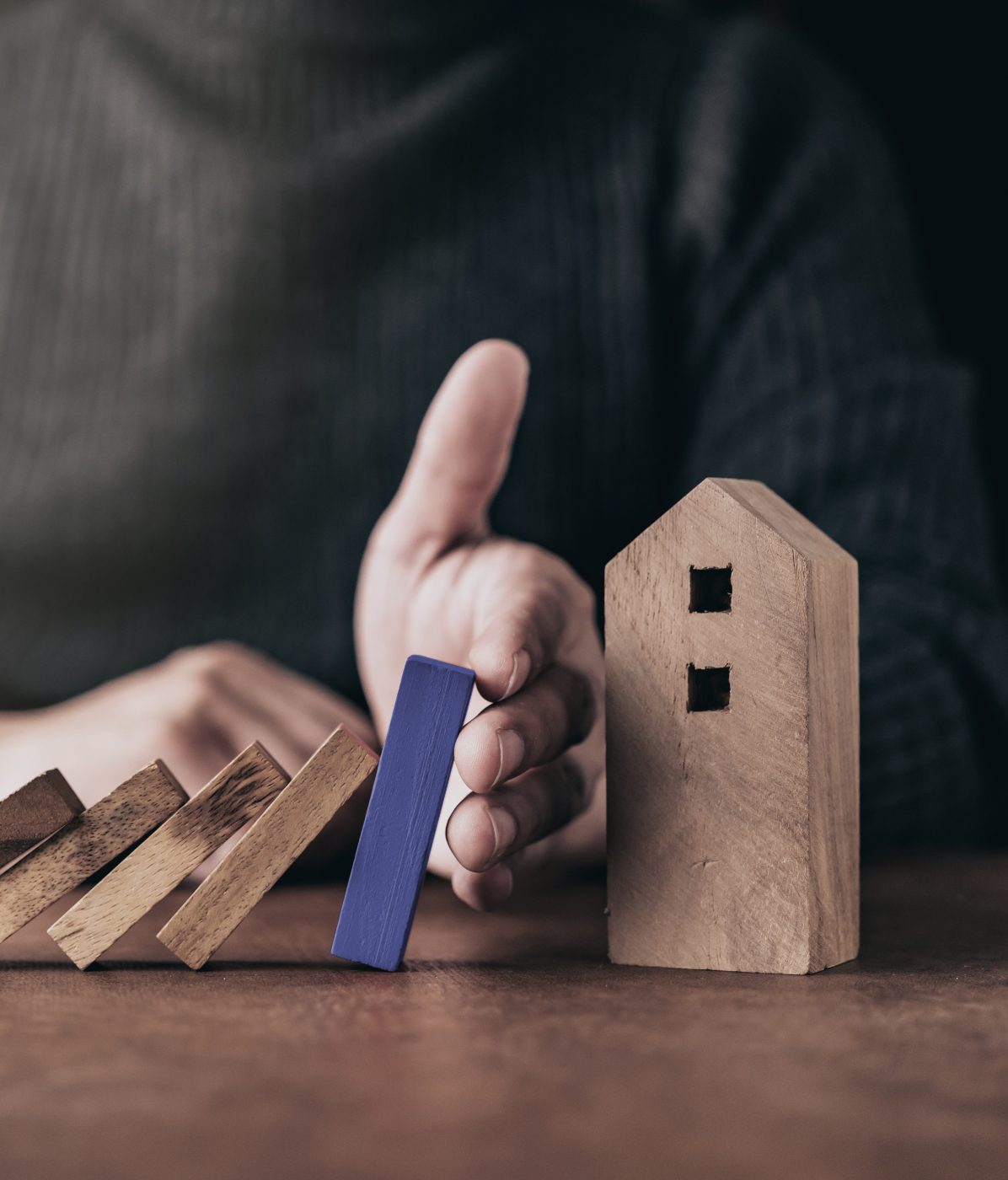 Home | Bison Ventures